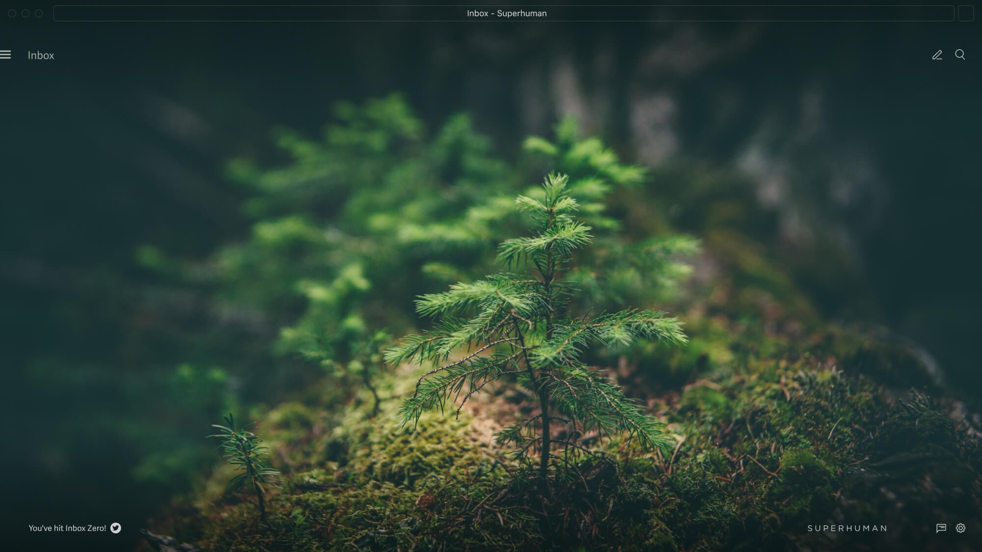 What is a web email client? Complete guide for professionals