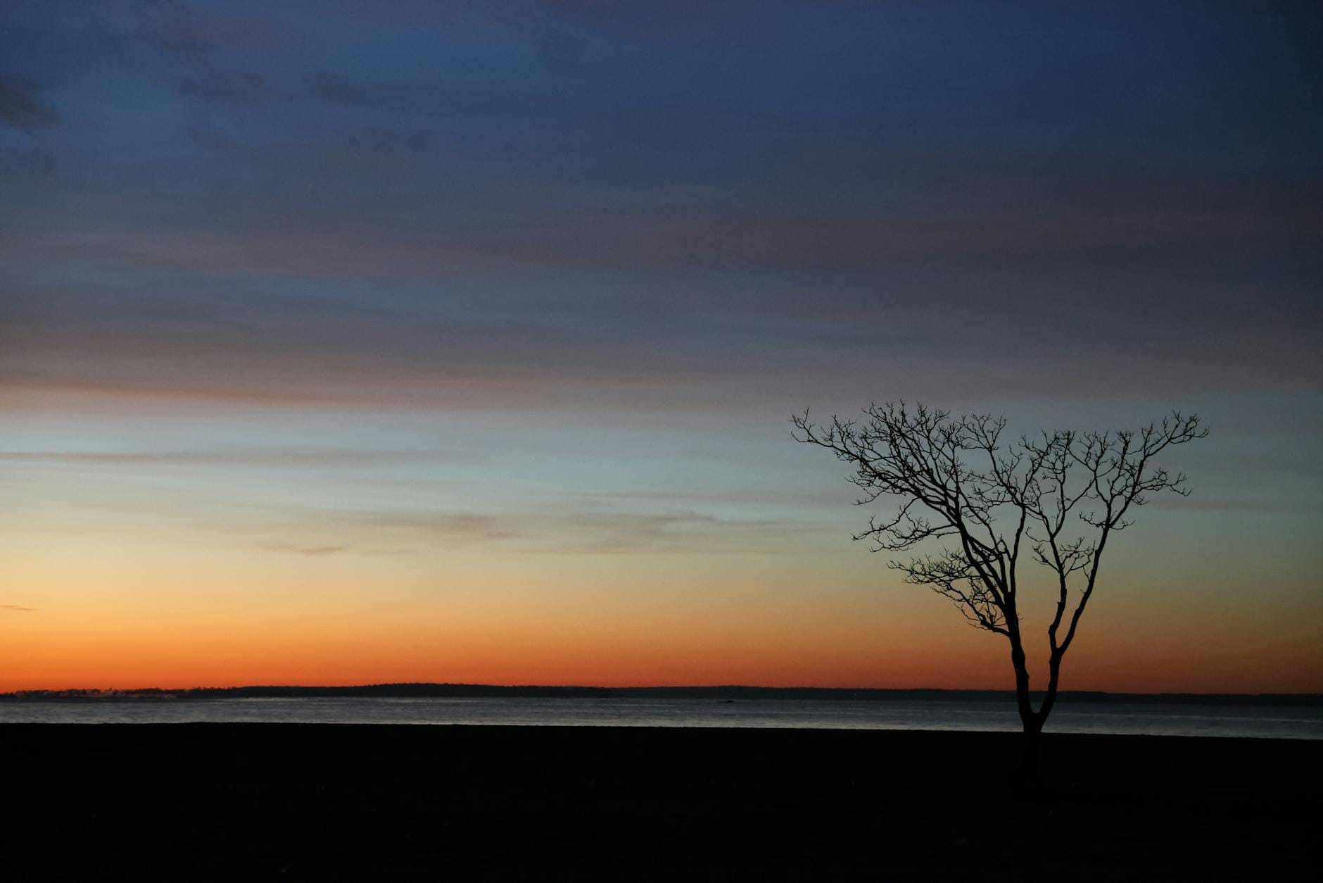 A complete team email collaboration guide to boost productivity