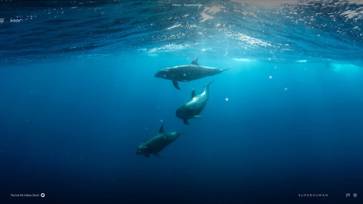 Diagonal Communication: definition, examples, and benefits